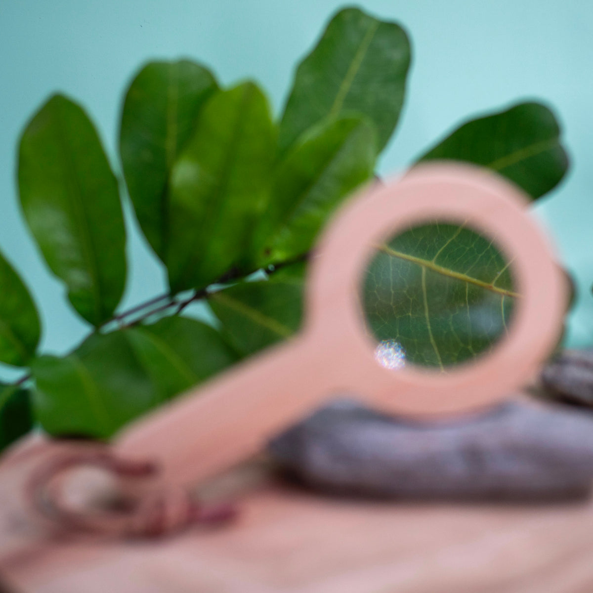 Wooden Magnifying Glass | Reverie Craft Australia