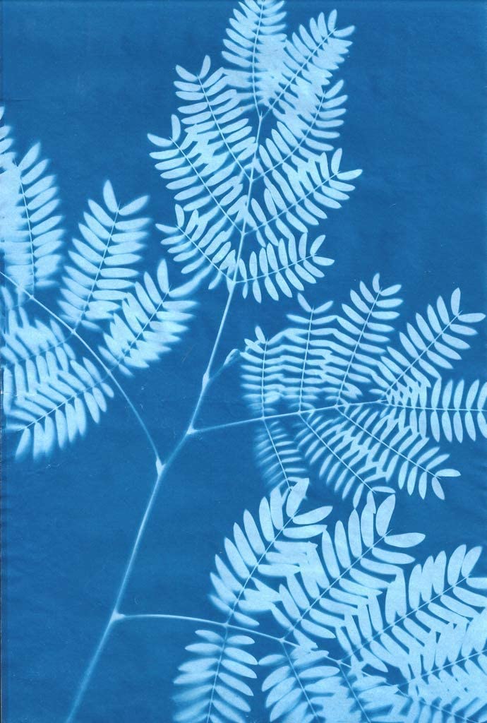 Sunprint Super Solar Art Kit (20x30cm) | Reverie Craft Australia